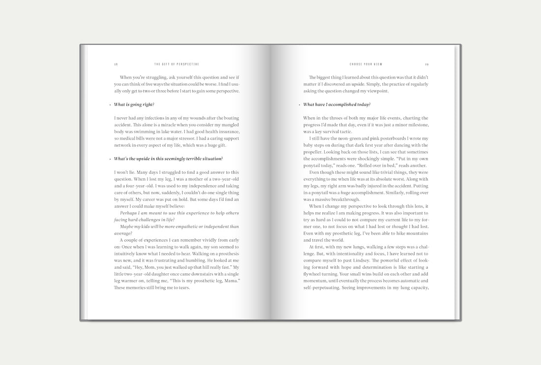 The Gift of Perspective – Figure1Publishing