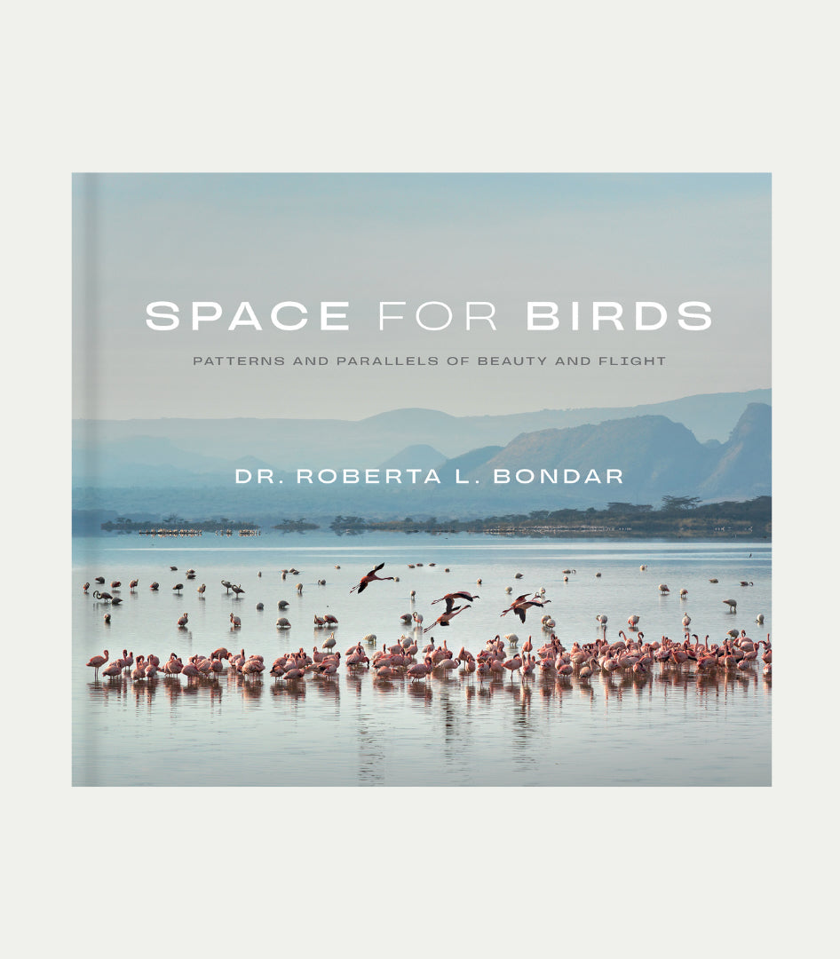 Space for Birds – Figure1Publishing